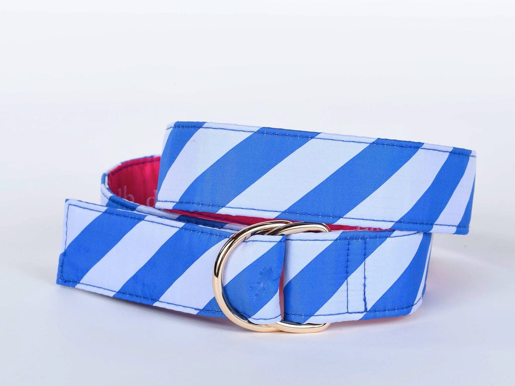 Crazy Blue Kitty Diagonal Stripes Belt – DeltaBelt