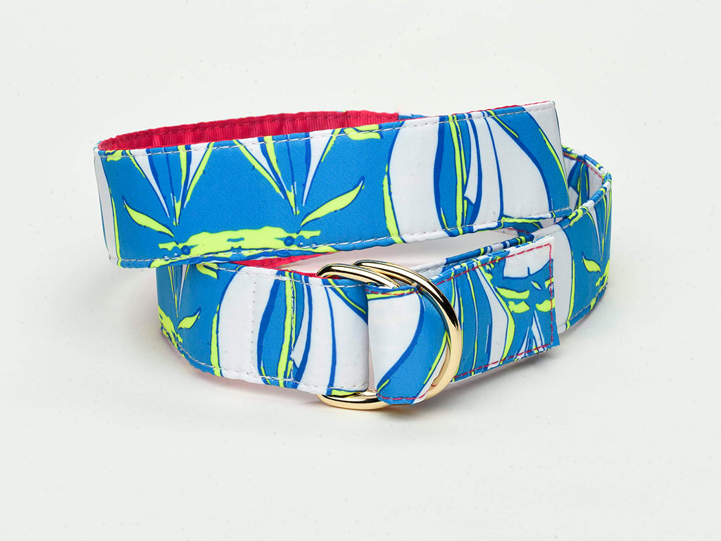 Smooth Sailing Belt – DeltaBelt
