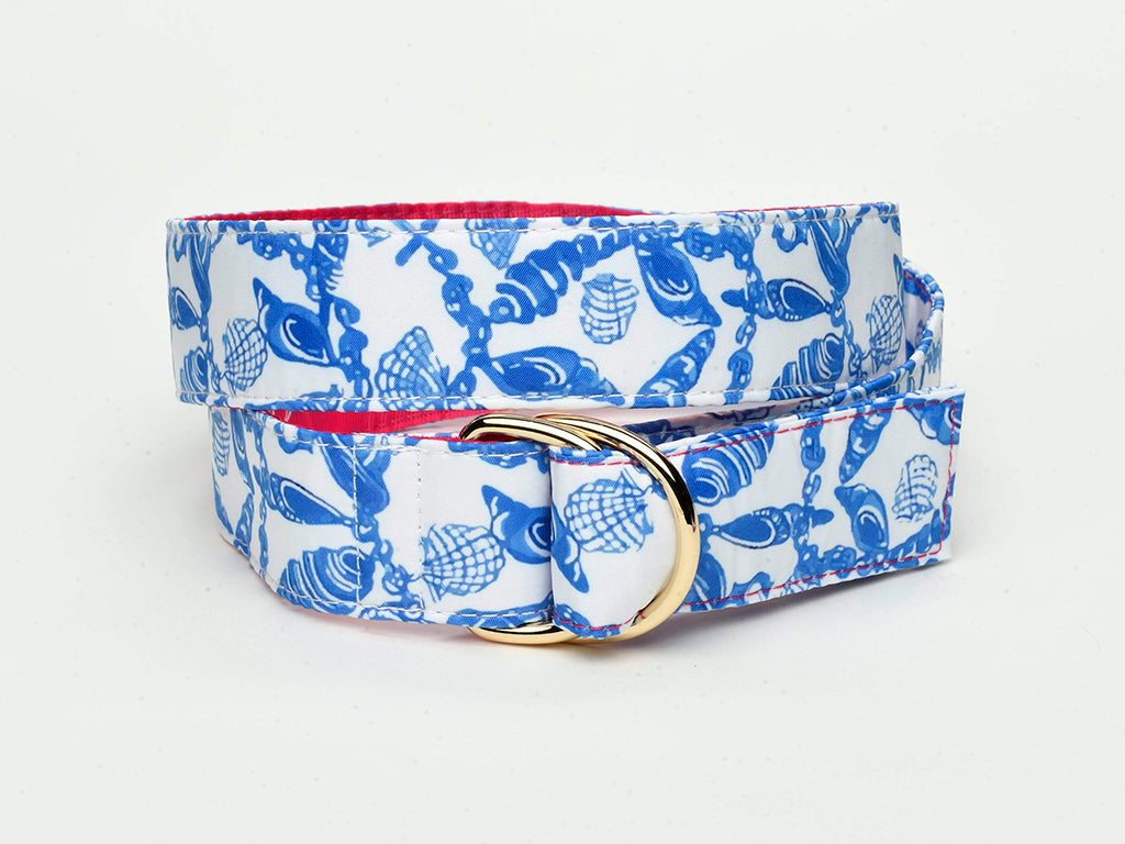 Shells and Shells Belt – DeltaBelt